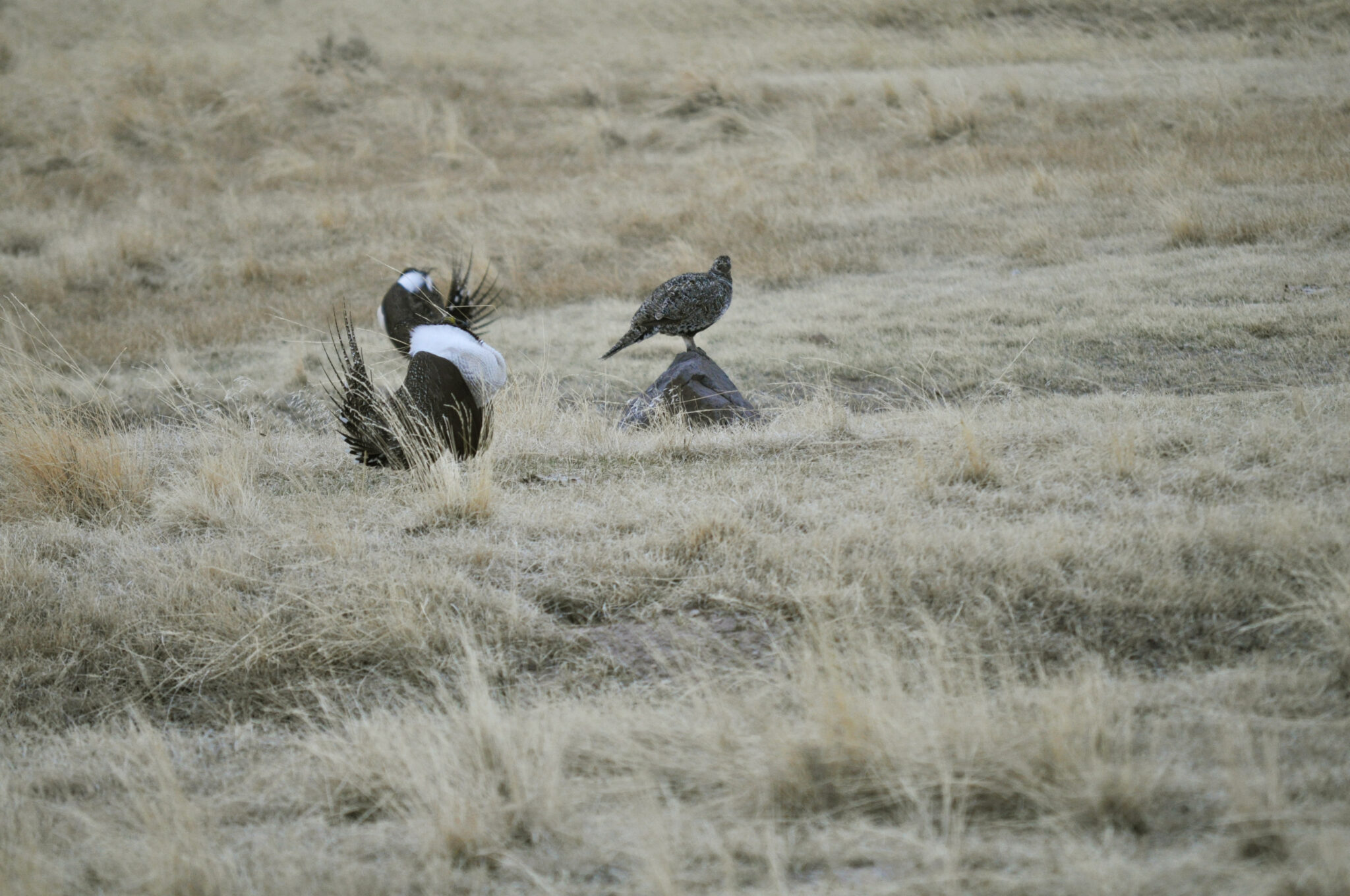 House committee advances Farm Bill - The Wildlife Society